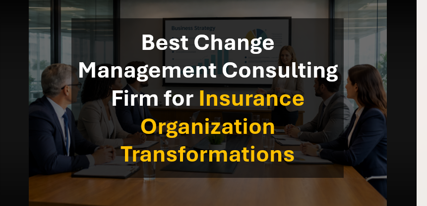 Who is the Best Change Consultant for Insurance Organization Projects ...